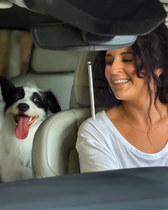 Auto Stix® Car Air Freshener | Enviroscent – Enviroscent.com