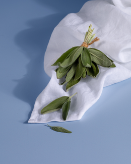 Auto Stix® Car Air Freshener | Enviroscent – Enviroscent.com